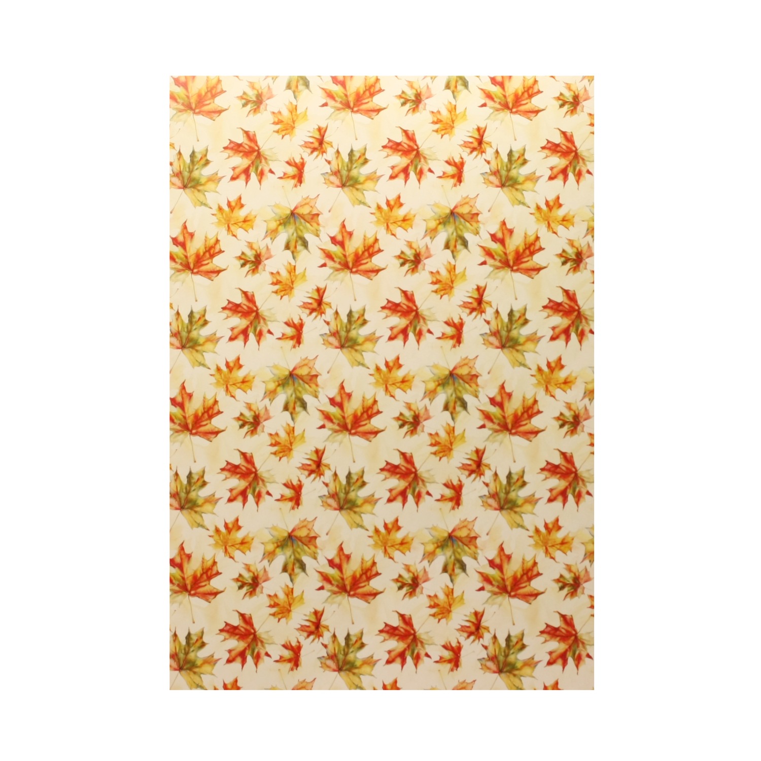 Kuviokartonki A4 5kpl - Vaahtera - Hobby Point